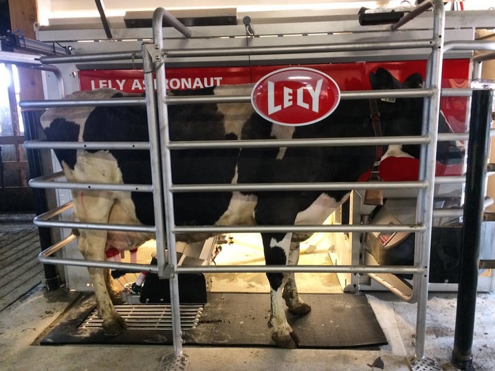 Lely Robots Harmonize Milking with Grazing at Brackenhurst Farm