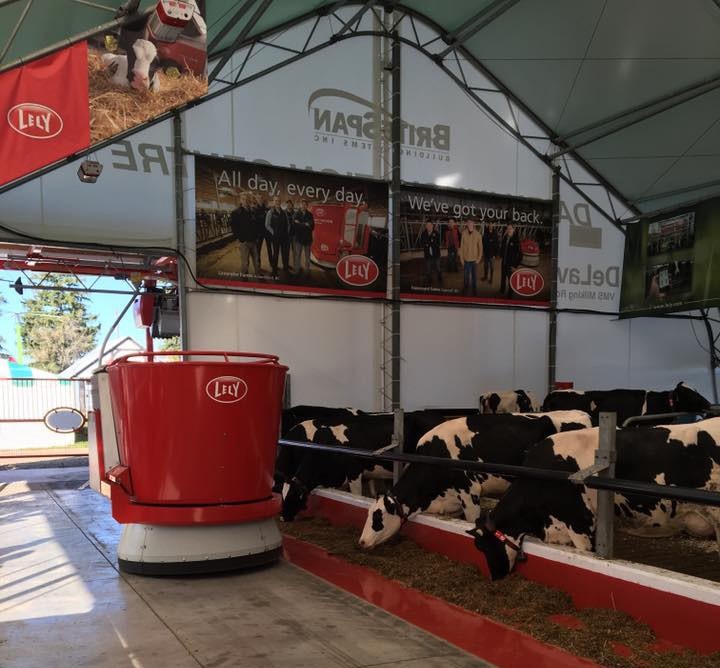 The Value of Lely Vectors