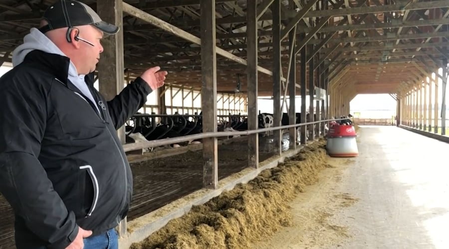 Lely Robots Enhance Cow Comfort & Flexibility at Arentsen Dairy