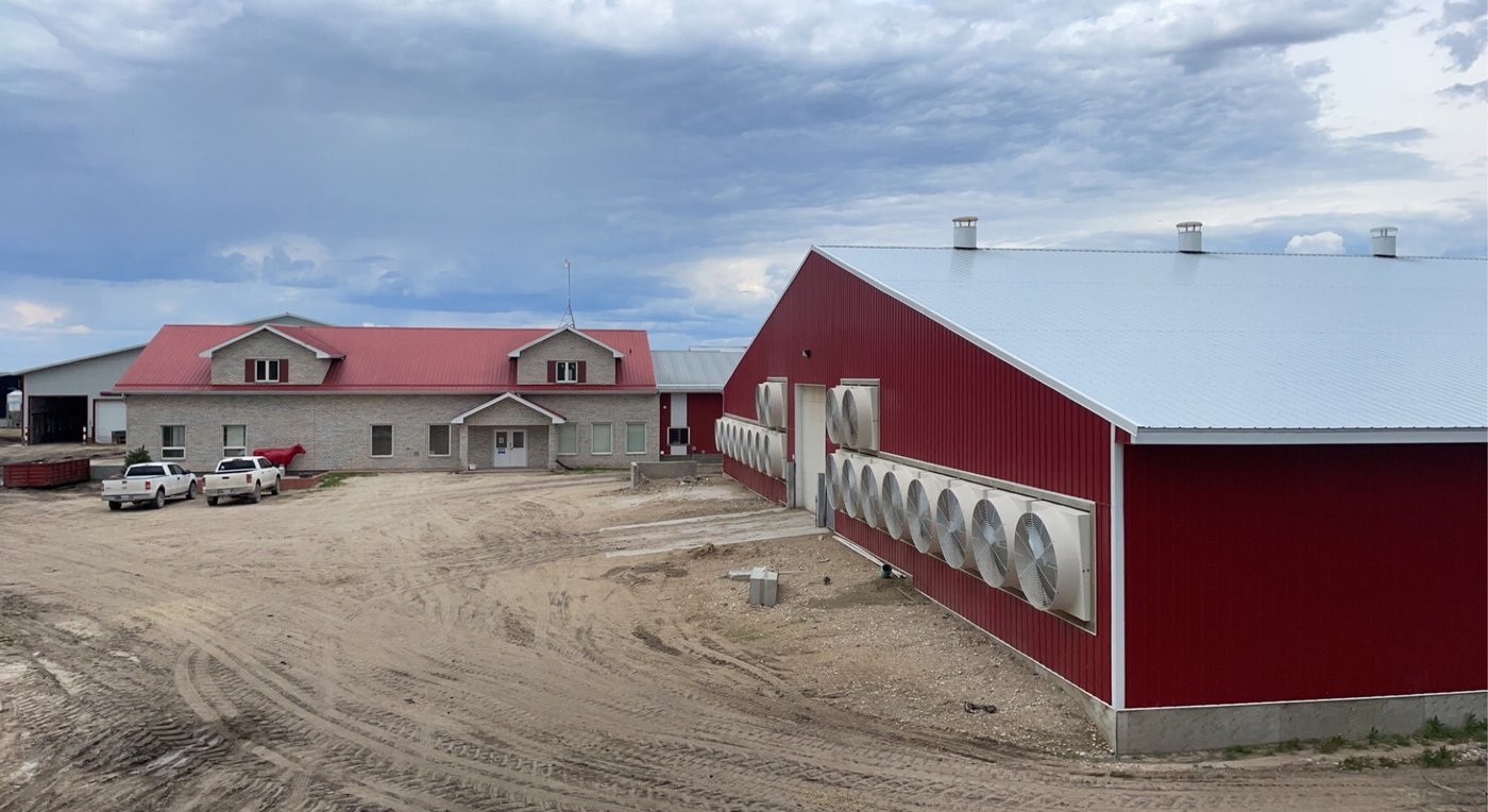 Manitoba Farmers Embrace Lely Automation After Barn Fire