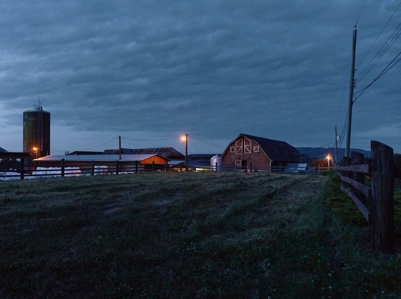Lely Robots Harmonize Milking with Grazing at Brackenhurst Farm