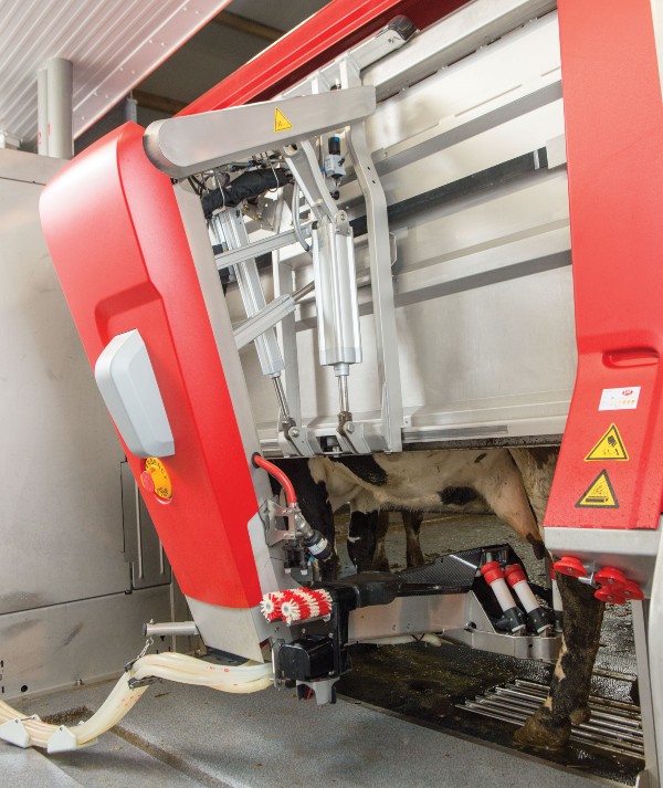Smart: Part 1 of the Milking Series