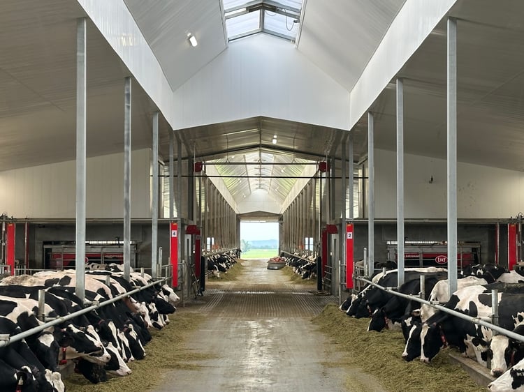 A Practical Guide to Planning Your Automated Milking Barn
