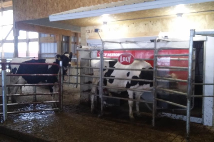 Lely North America Blog